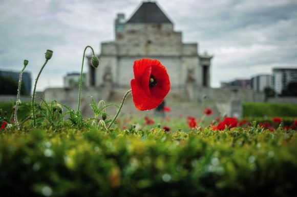 Our Photography competition